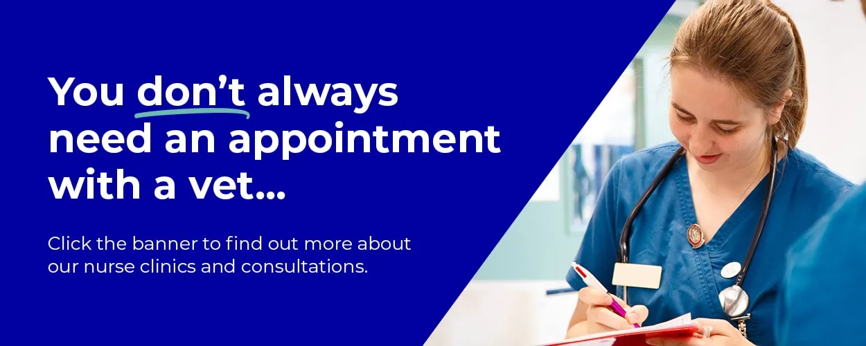 Vets in Surrey | Vets Near Me | Crofts Veterinary Surgery